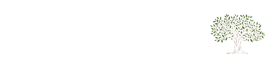 The Athenian Tree – Authentic Greek Cuisine